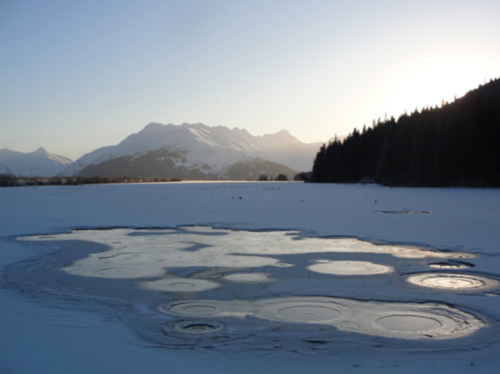 Local Alaskan Scientist Featured in New York Times: “As Permafrost ...