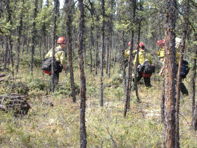 Western Forester Article on Fuel Breaks in Alaska | AK Fire Science ...